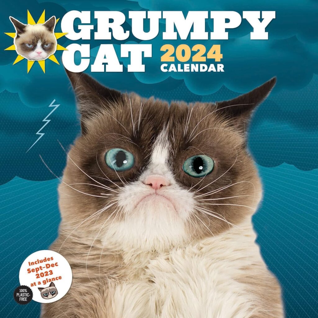 GrumpyCat.meme